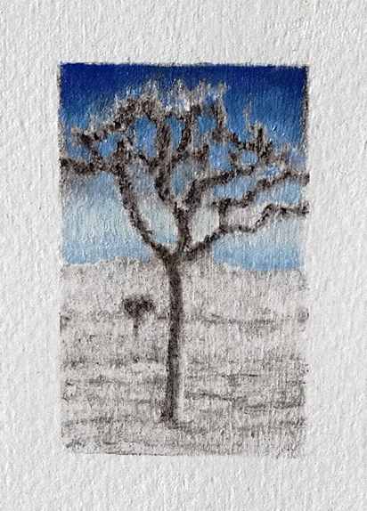Stamp Project